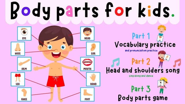 Body Parts For Kids | Head And shoulders Song | Body Parts Game | ESL ...